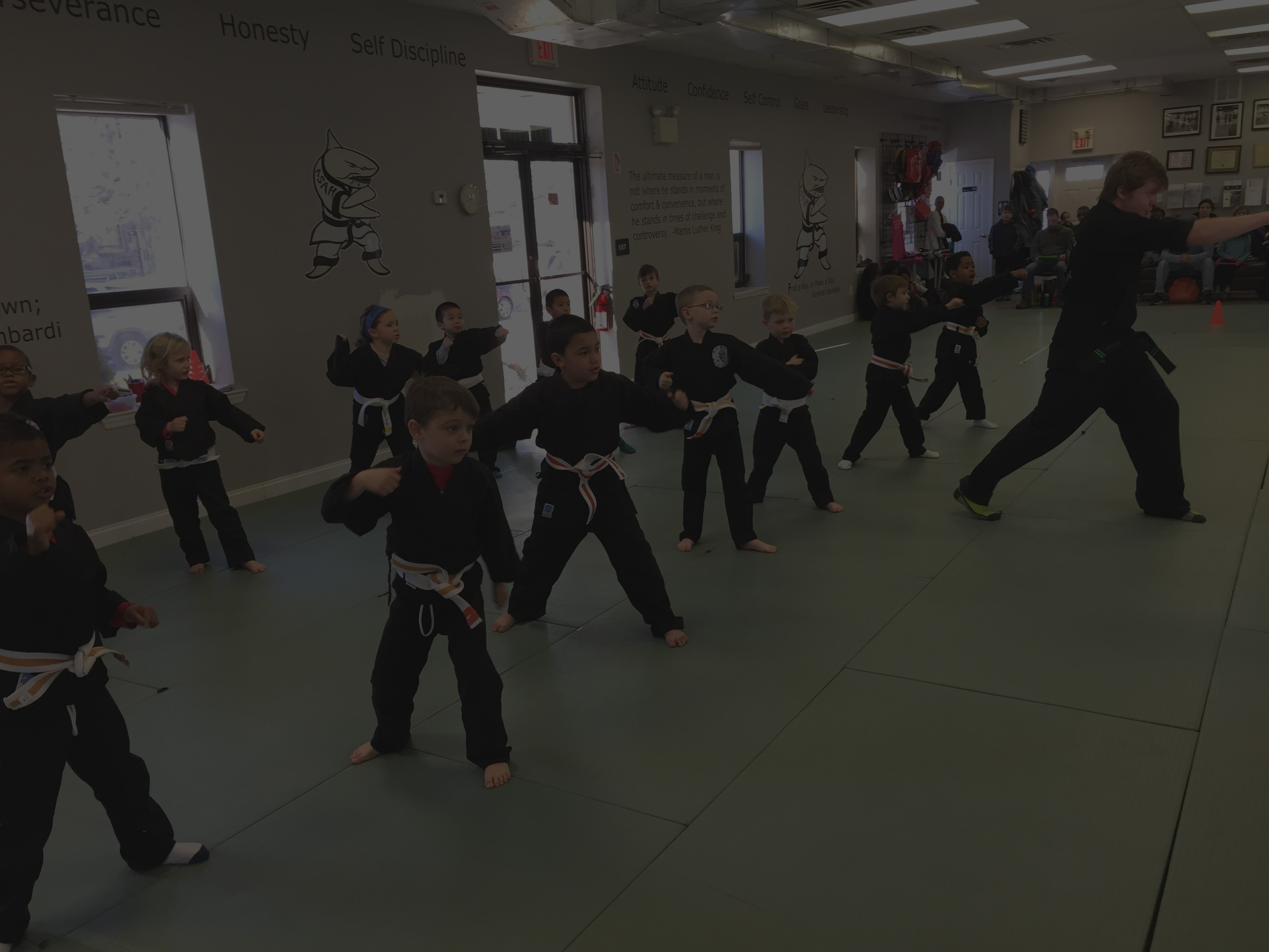 Action Karate Plymouth Meeting - Reach Your Potential With Karate